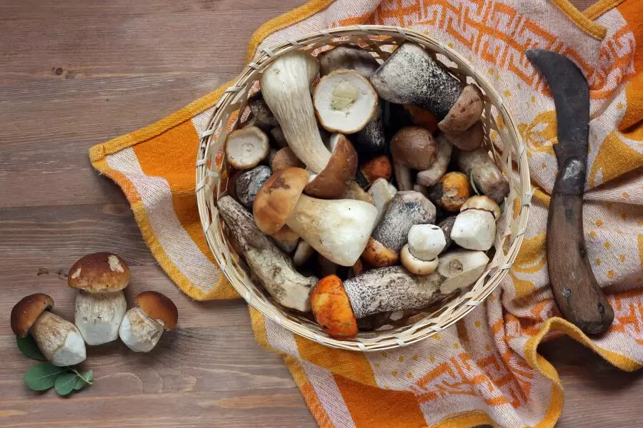 Welke bruikbare stoffen zijn opgenomen in champignons? 3300_1