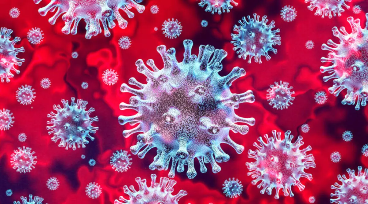 Hva er kjent om den nye belastningen av coronavirus?