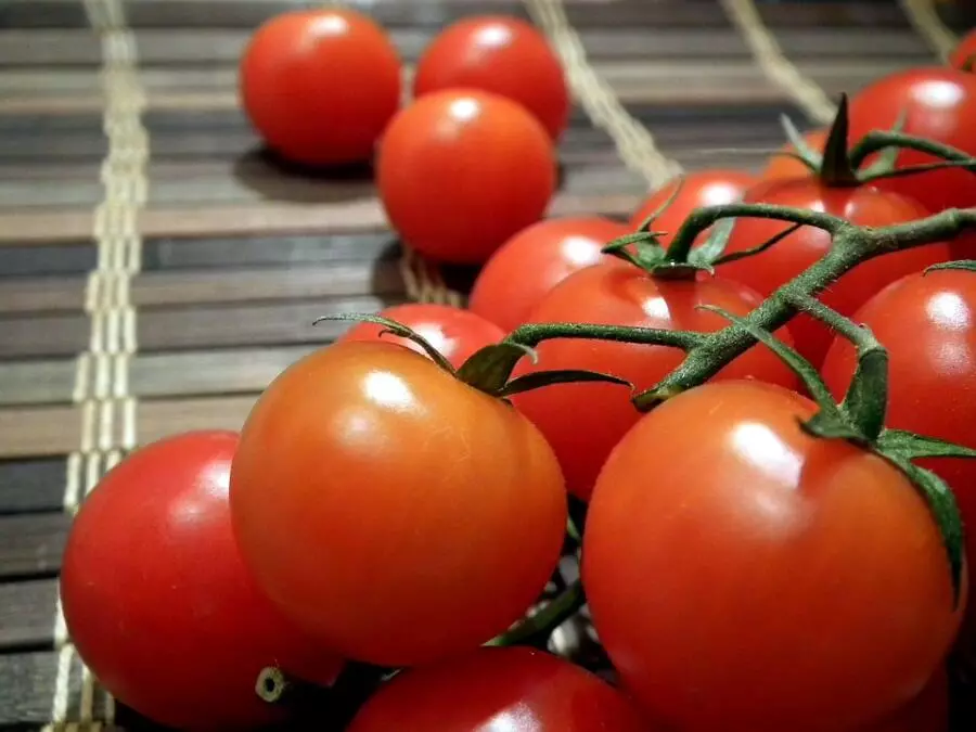 Hva er de beste tomatvarianter?