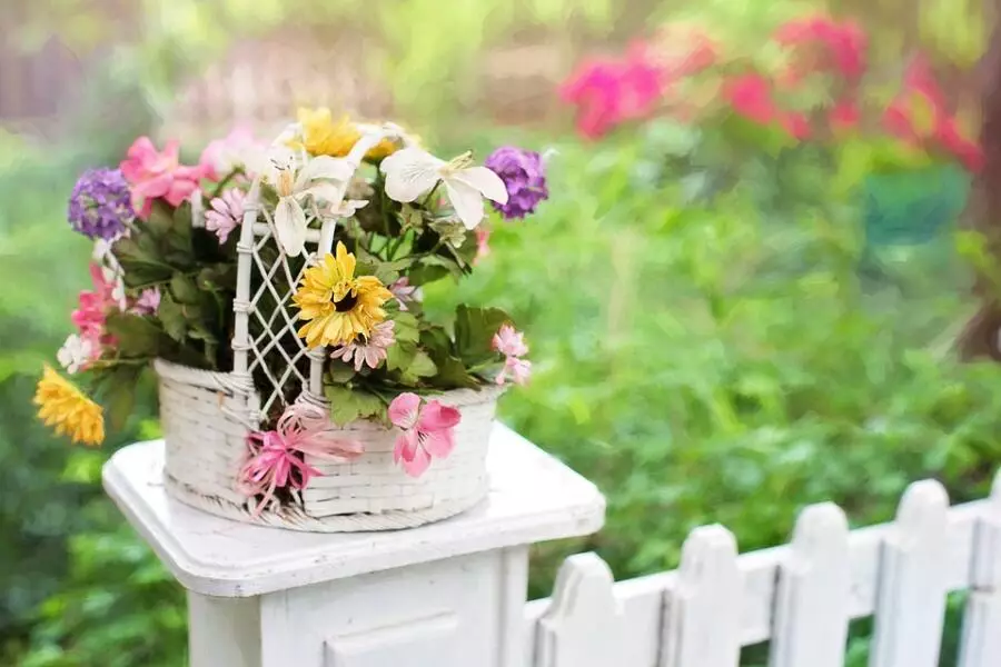 Como facer un bouquet de flores e estender a súa frescura?