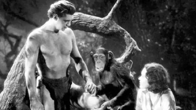 战后童年。你还记得这部电影“Tarzan”吗？