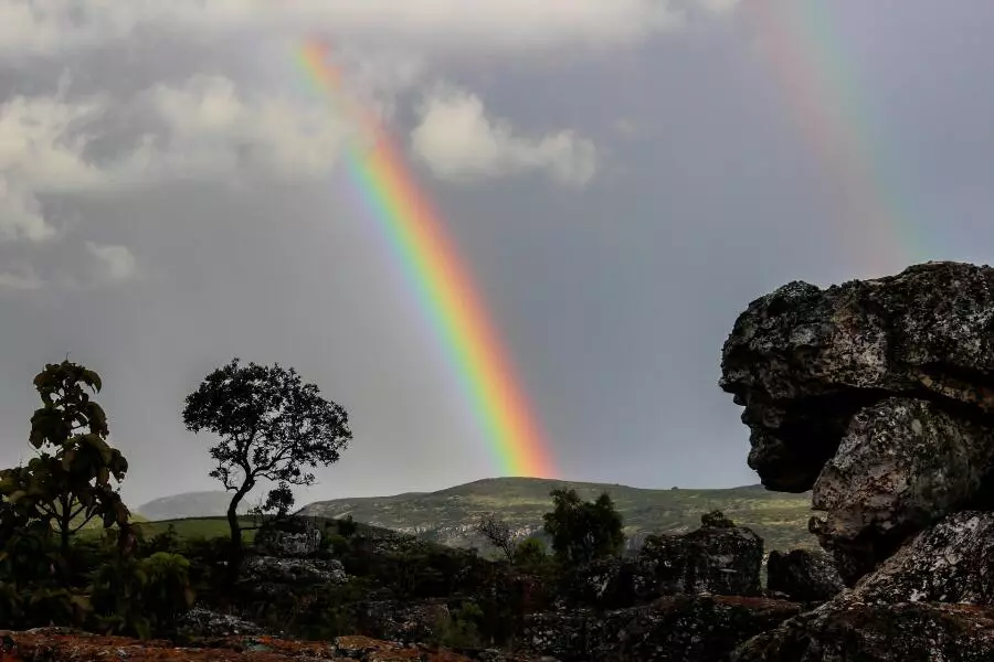 Ինչպես լուսավորել ձեր աստղը: 38162_1