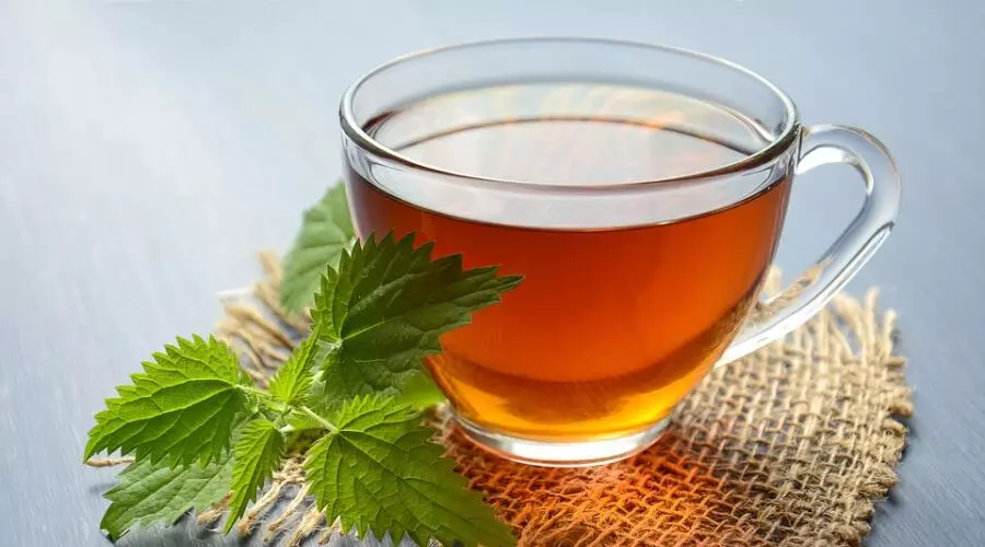 Popular Medicine: Hvað og hvernig á að meðhöndla Nettle?