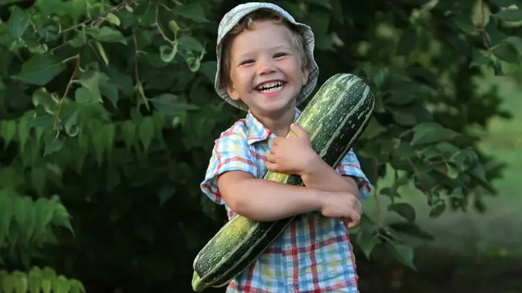 Ndezvipi zvido zvinogona kubikwa kubva ku zucchini ?: zvisingawanzo macipes