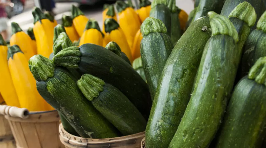 Wat binne de Zucchini en wat mei har te meitsjen?