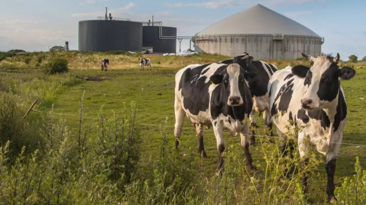 Wat beginsel doen biogas plante werk en wat is hulle voordele?