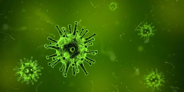 Eo virus que causou tal epidemia era o máis común H1