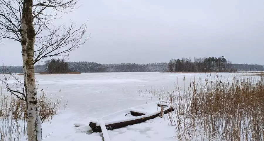 Januar. Bjelorusija. Jezero Plissa (bazen rijeke MNTU)