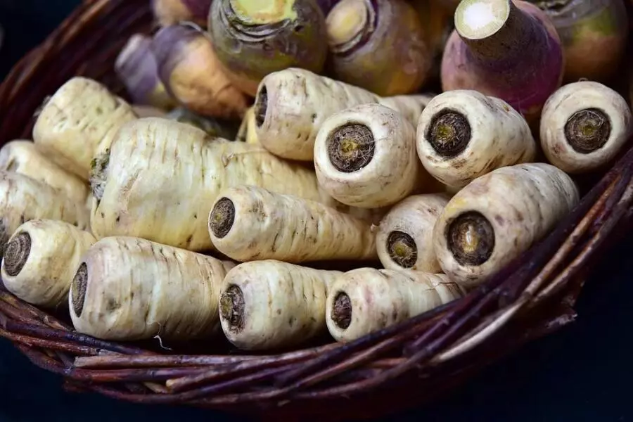 Unsang matanga sa kahimsog ang nakabenepisyo sa paglakip sa Diet Dishes gikan sa Pasternak?