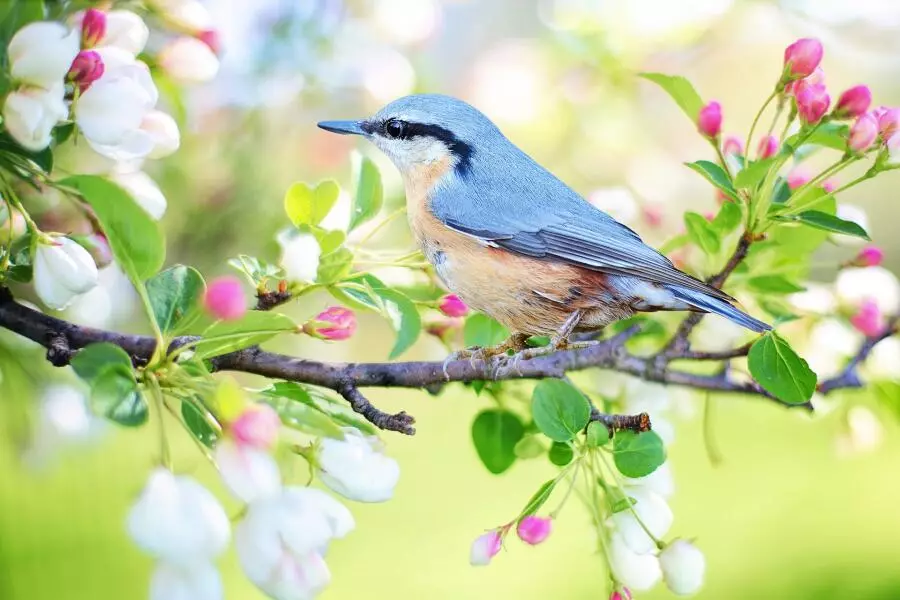 Lente: Is dit redelik te vinnig uit 