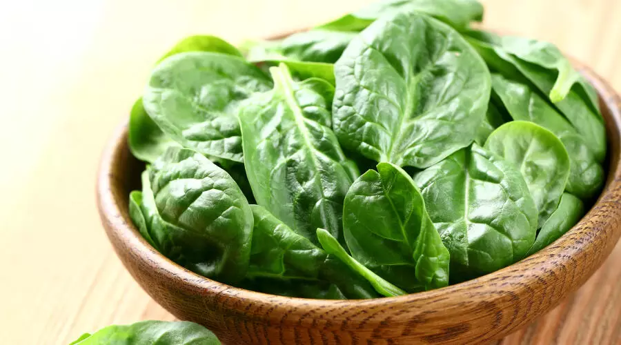 Qual è lo spinaci utile e ciò che si può cucinare fuori di esso?