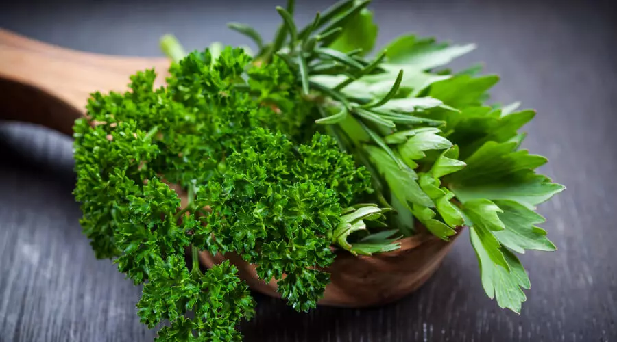 អ្វីដែលត្រូវចំអិនពី parsley?