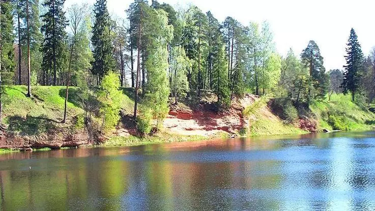 På kysten af ​​oreheda