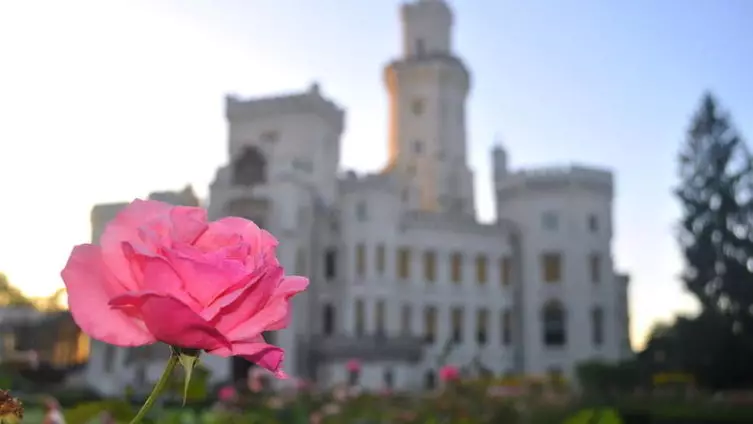 Cosa visitare nella Repubblica Ceca? Storico festival rose a cinque punti 49197_1