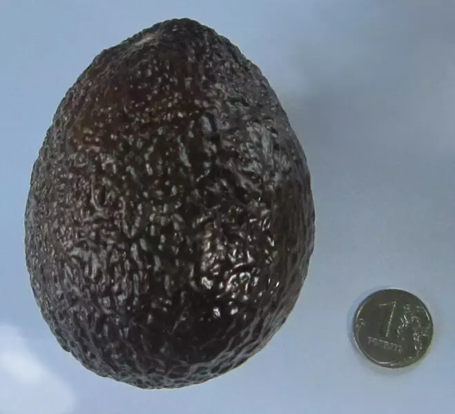 I-Avocado Ripe iziqhamo