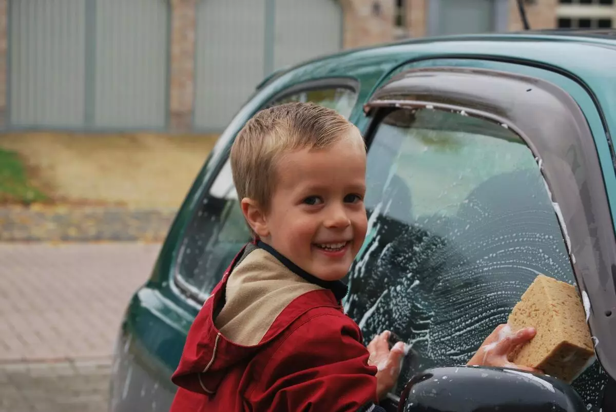 Kuinka valita mini-autopesu, mökki, auto?