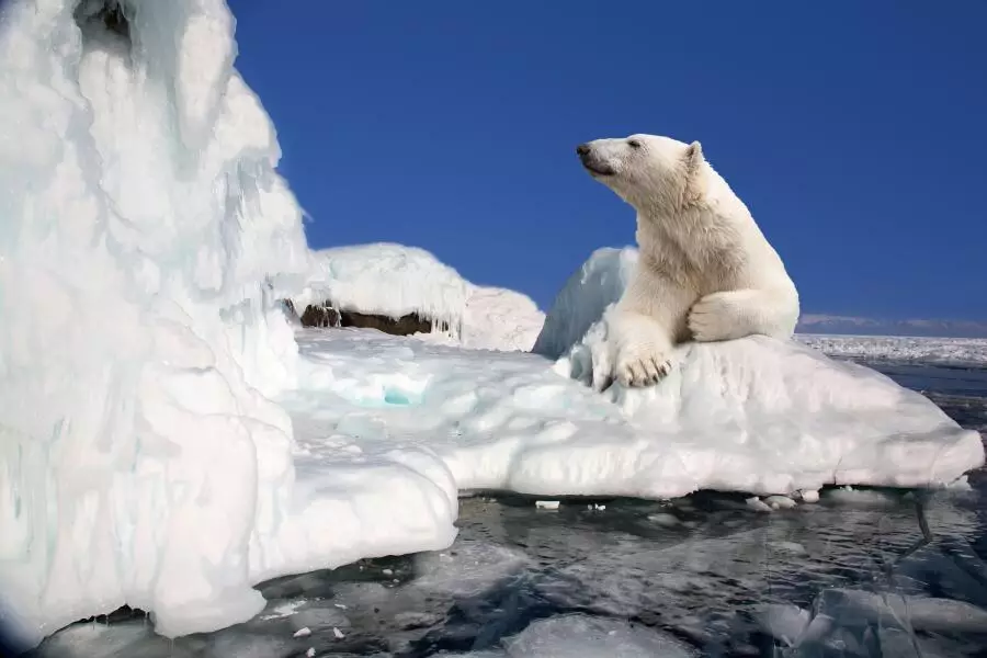 Kodi anthu adagonjetsa bwanji North Pole?