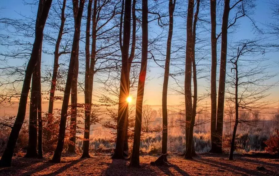 ¿Qué es la luz del sol peligrosa?