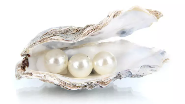 Pearls-freaks. Apa yang bisa kamu lakukan dari mereka? Bagian satu - legendaris 54514_1