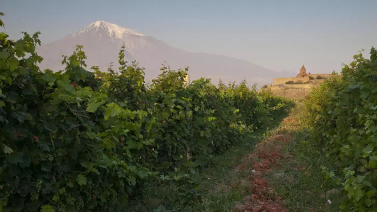 Vinos de Armenia. ¿Qué edad y cómo lo hacen? 54718_1