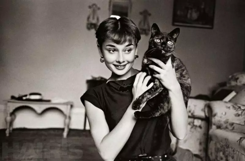 Dal compleanno di Audrey Hepburn. Chi è il mondo chiama "icona di stile"?