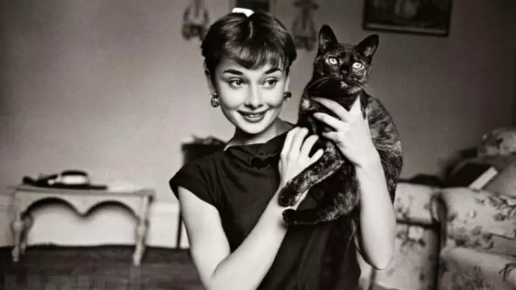 Vào ngày sinh nhật của Audrey Hepburn. Cả thế giới gọi là 