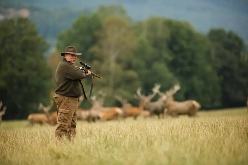 Ruzhier“Mouflon”。什麼是異常的切割武器？ 2.尊嚴和缺點