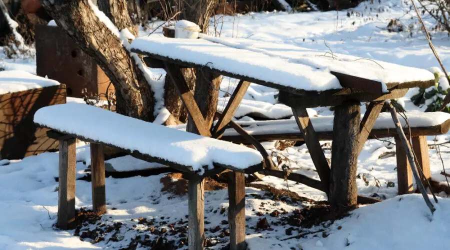 Santa təqvim. Fevral ayında nə etməli?