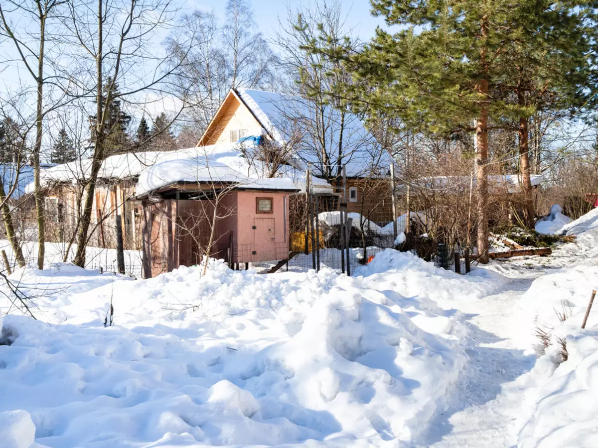 Paesi da gennaio a dicembre - il calendario della casa estiva. Cosa fare a dicembre?