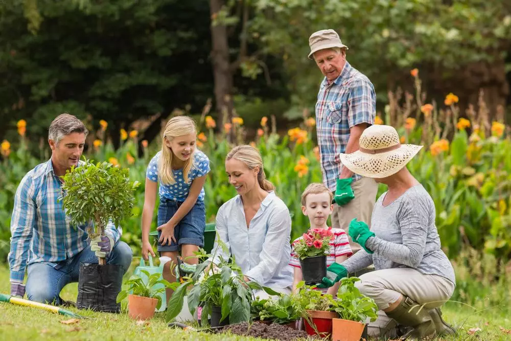 Ugefaang Gaart Komplott ze Meeschtesch? Groussen a klenge Land Tricken - seedlings, deet an mittlider Method